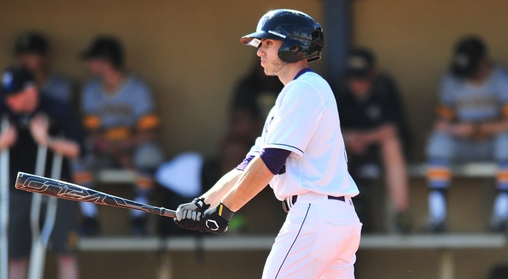 Christian Pellegrino - 2016 - Baseball - NYU Athletics