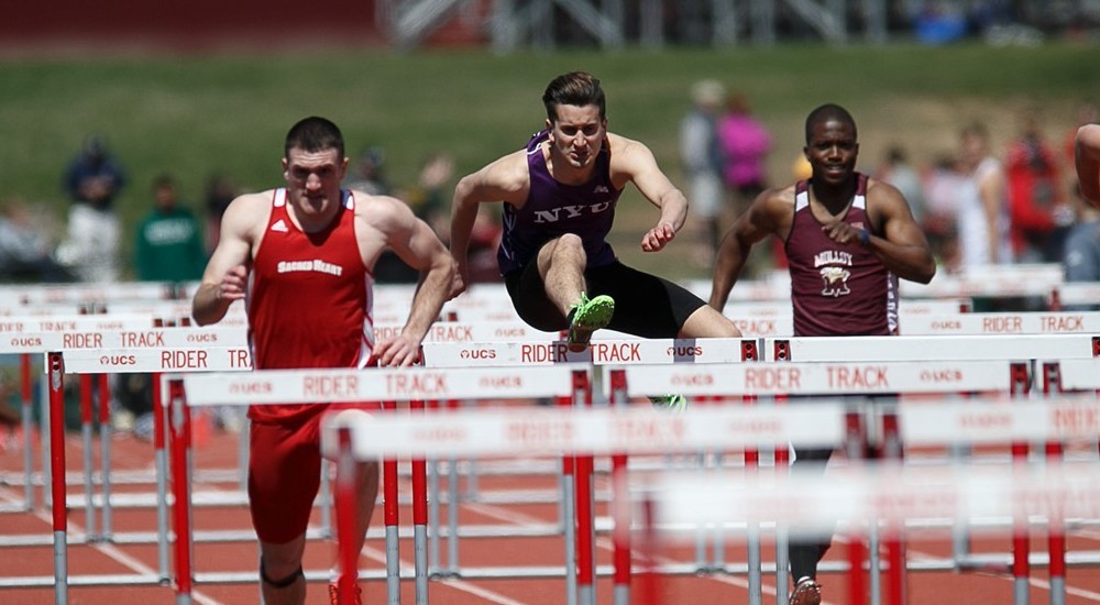 Griffin Stoddard - 2015 - Men's Track & Field - NYU Athletics