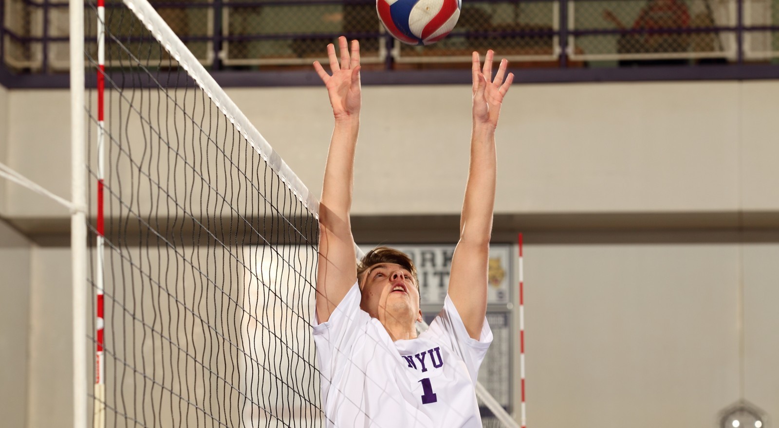 Patrick Merrick - 2016 - Men's Volleyball - NYU Athletics