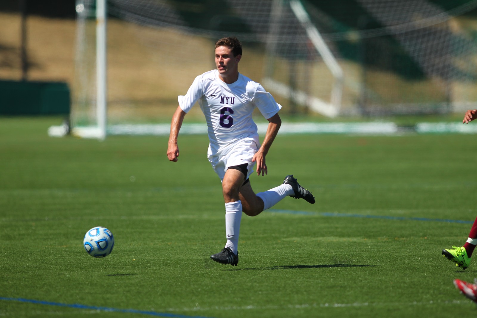 Joe Arcuri - 2015 - Men's Soccer - NYU Athletics