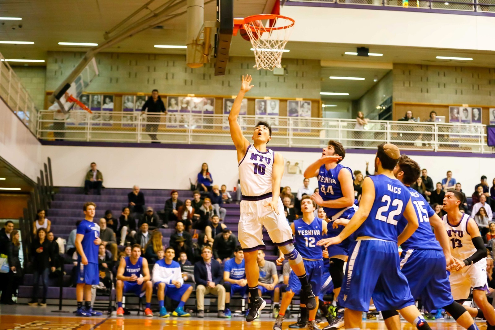 Tony Bai - 2015-16 - Men's Basketball - NYU Athletics