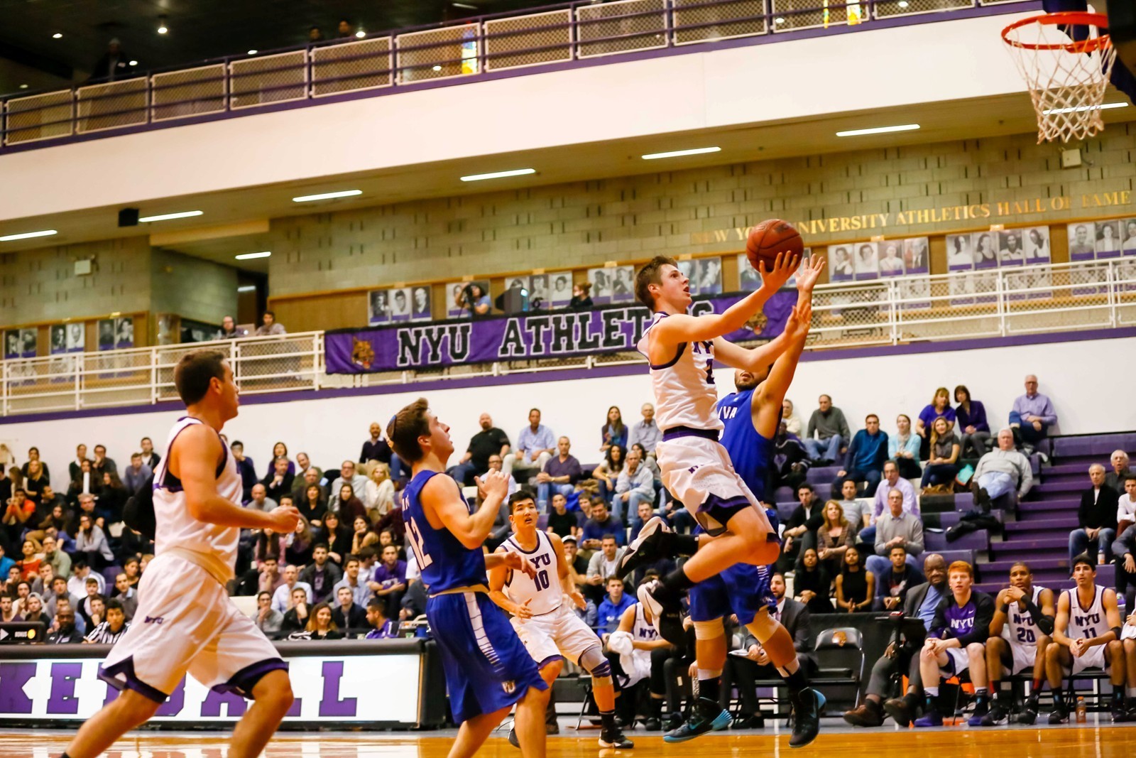 Jay Murphy - 2015-16 - Men's Basketball - NYU Athletics