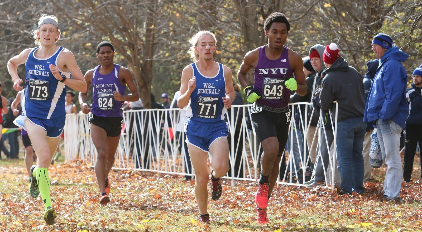 Matt Osubor - 2016 - Men's Cross Country - NYU Athletics