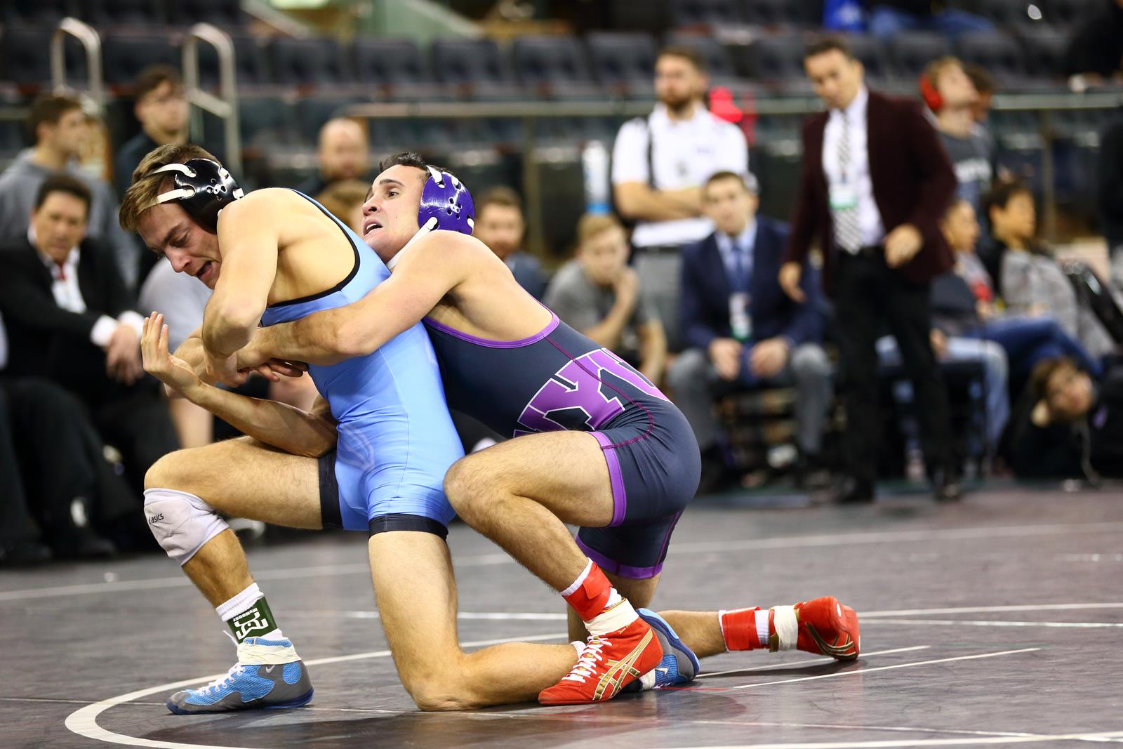 Anthony Calvano - 2017-18 - Wrestling - NYU Athletics