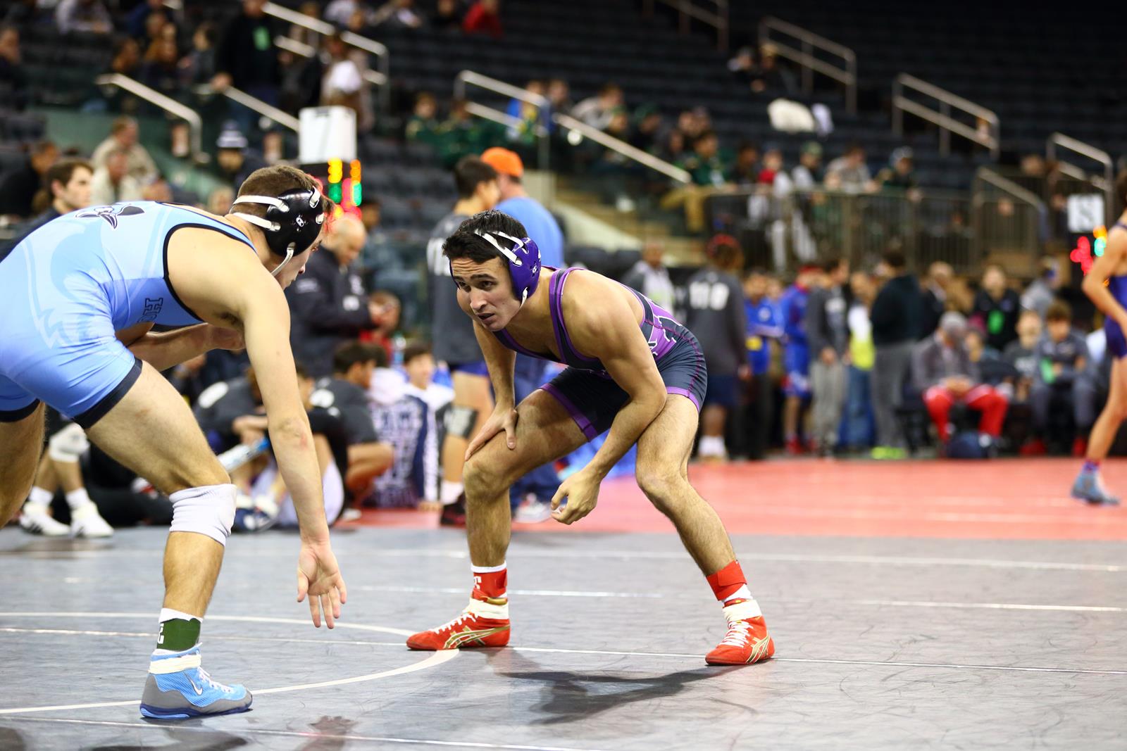 Anthony Calvano - 2017-18 - Wrestling - NYU Athletics