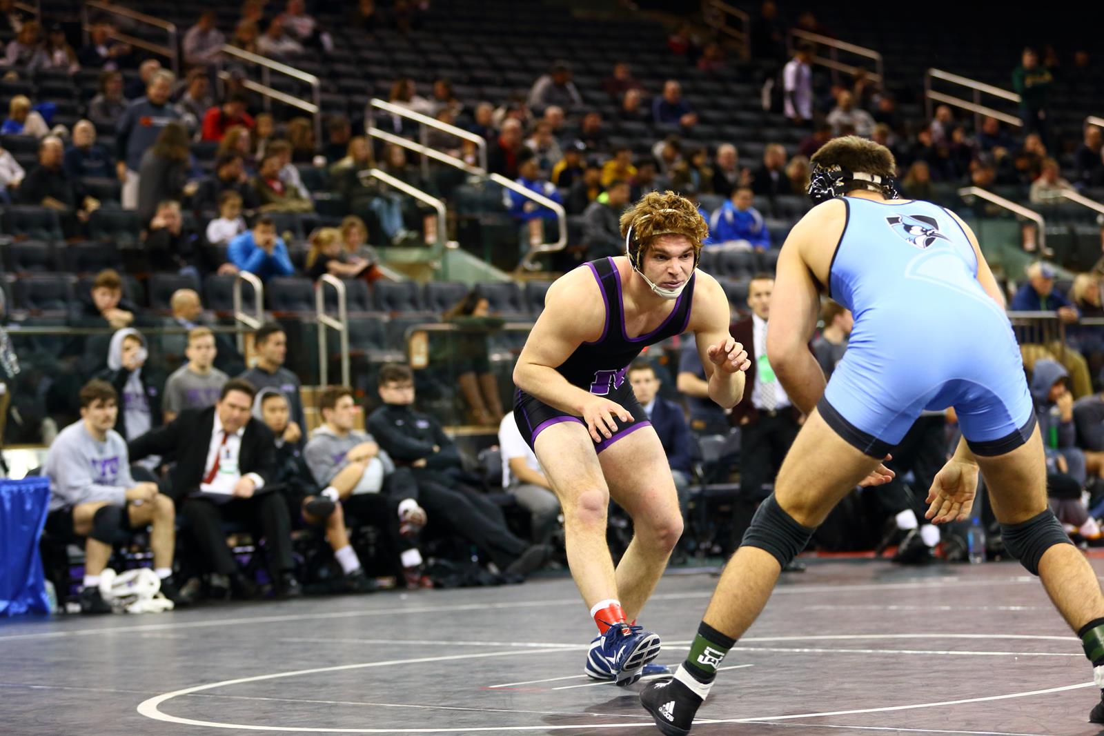 Jack La Corte - 2019-20 - Wrestling - NYU Athletics