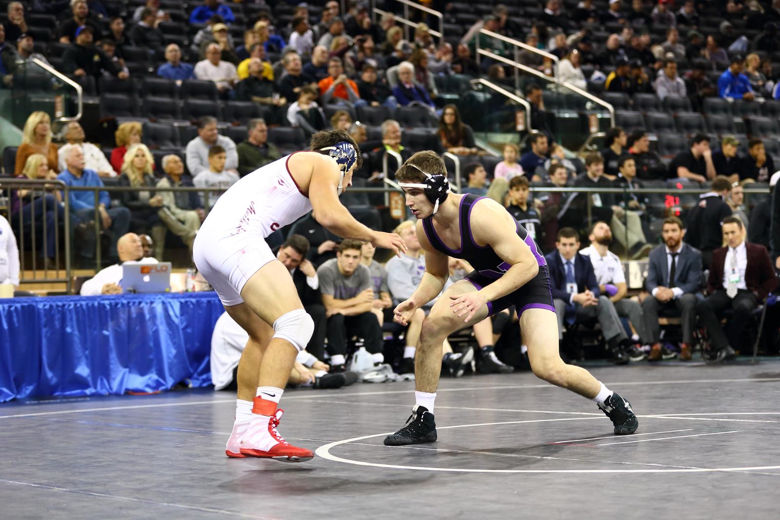 Jackson Kligerman - 2018-19 - Wrestling - NYU Athletics