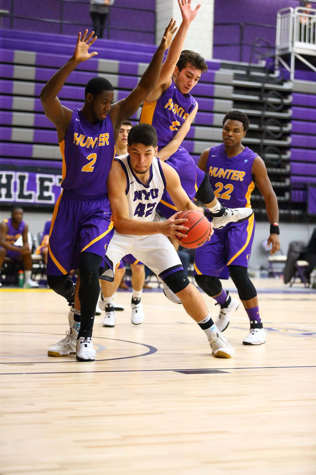 Nick Medavoy - 2016-17 - Men's Basketball - NYU Athletics