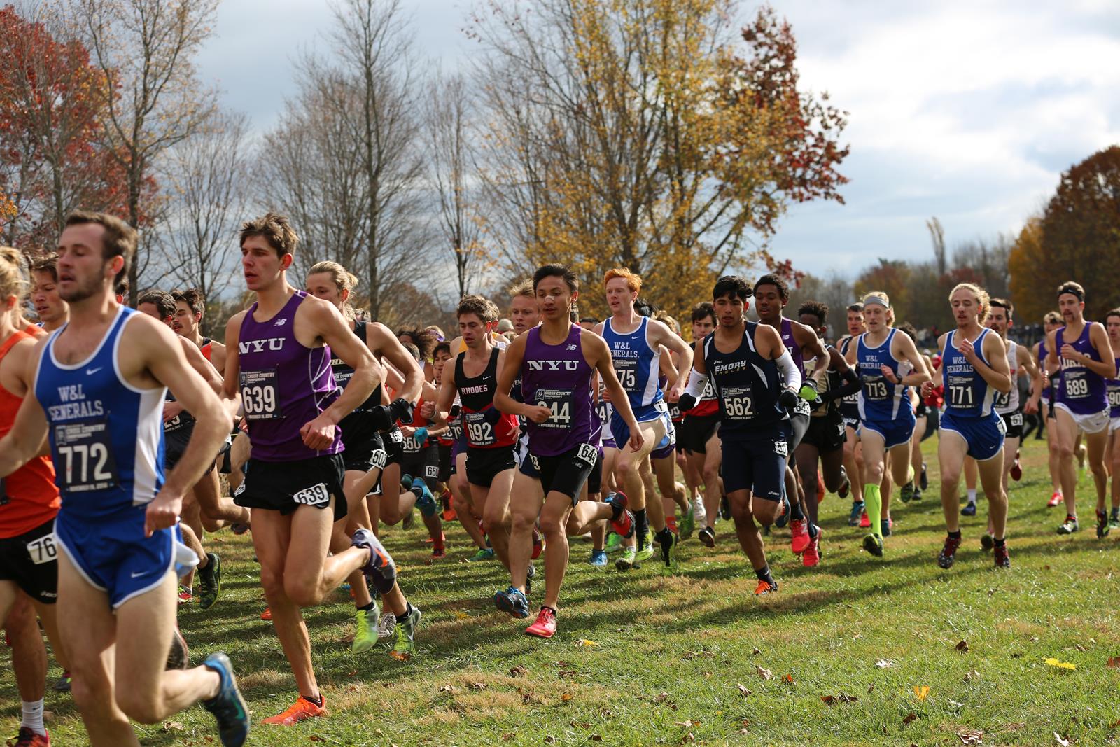 Jordan Reyes - 2017 - Men's Cross Country - NYU Athletics