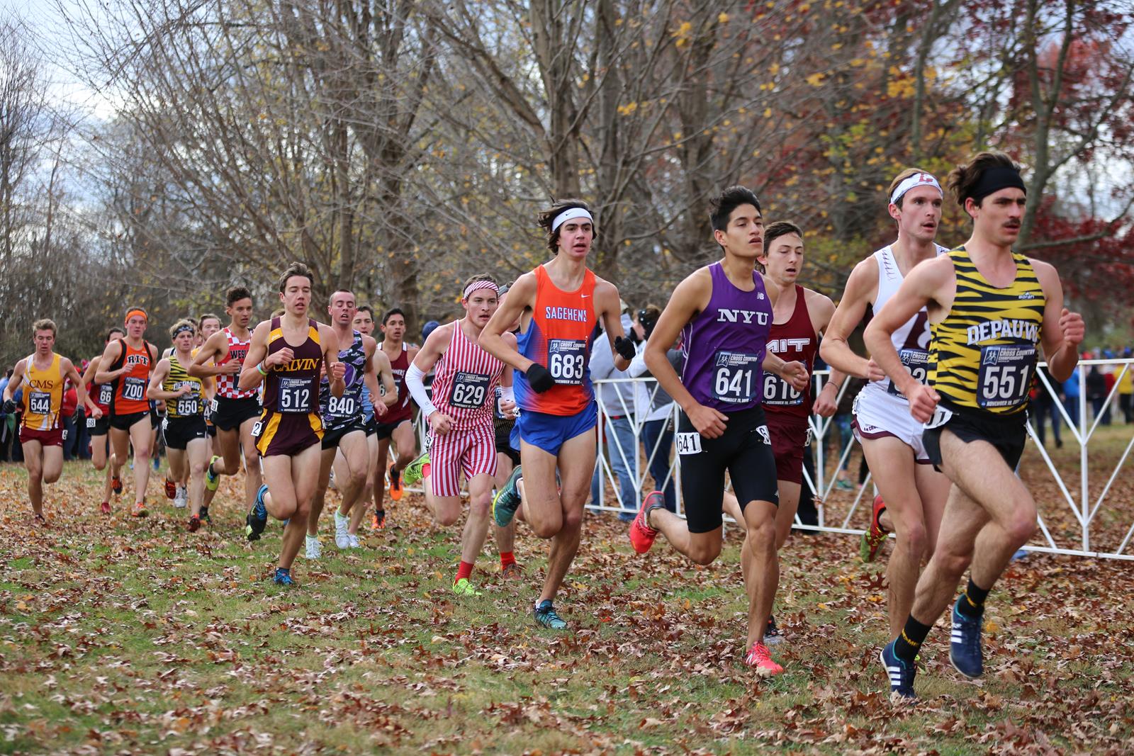Jorge Maldonado - 2016 - Men's Cross Country - NYU Athletics
