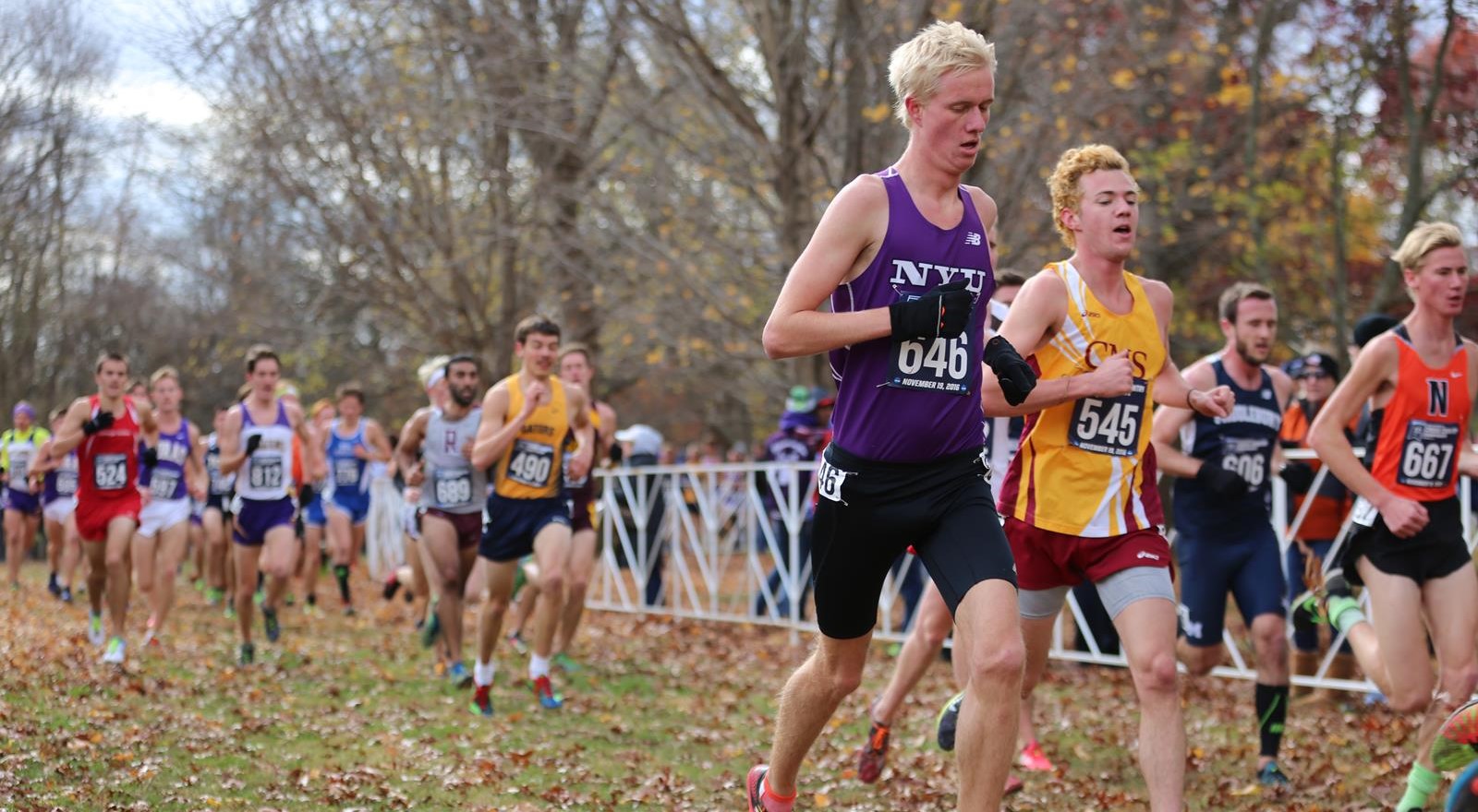 Neil Saddler - 2017 - Men's Cross Country - NYU Athletics