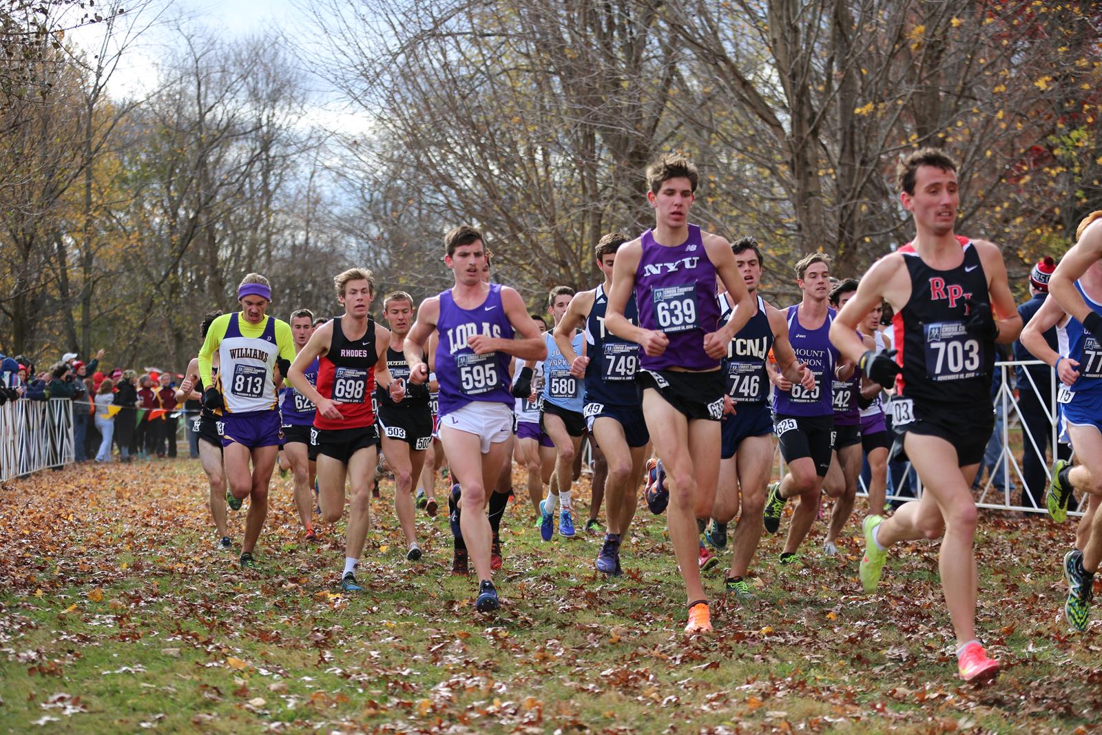 Nick Karam - 2016 - Men's Cross Country - NYU Athletics