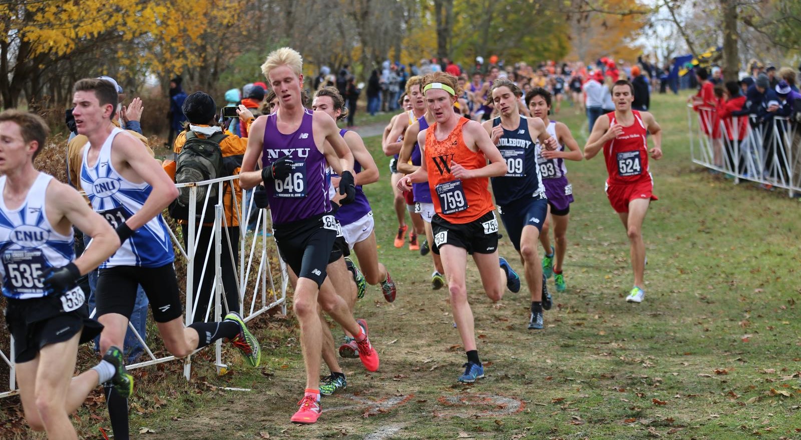 Neil Saddler - 2017 - Men's Cross Country - NYU Athletics