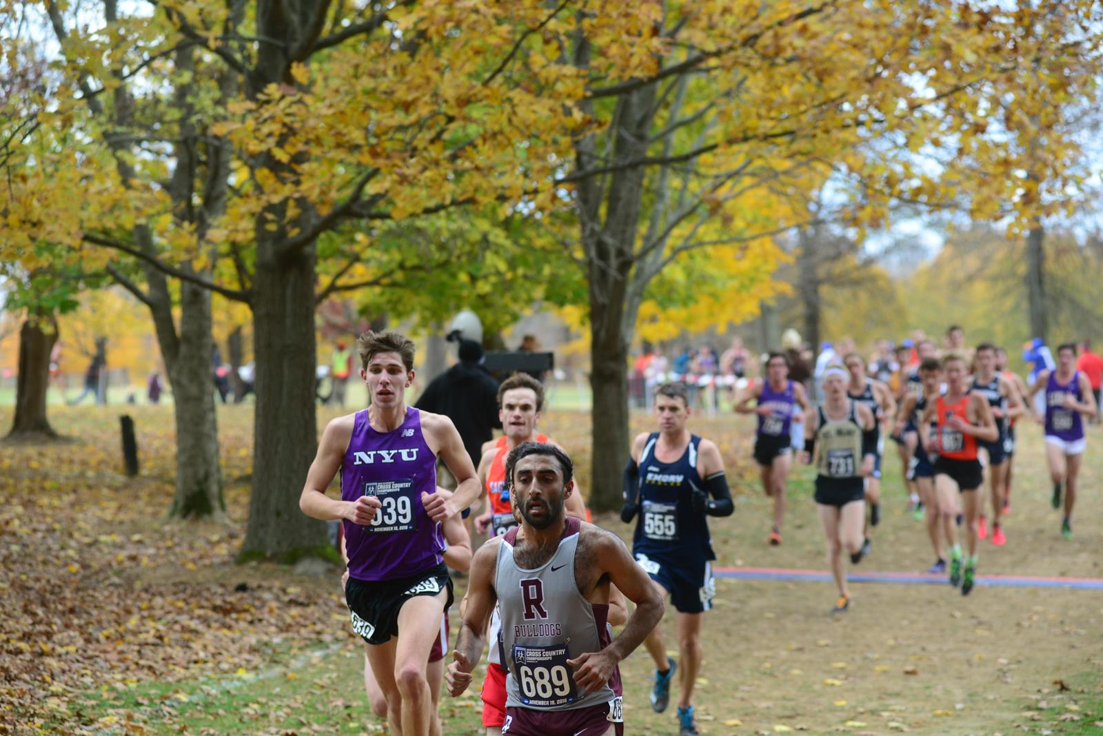 Nick Karam - 2016 - Men's Cross Country - NYU Athletics