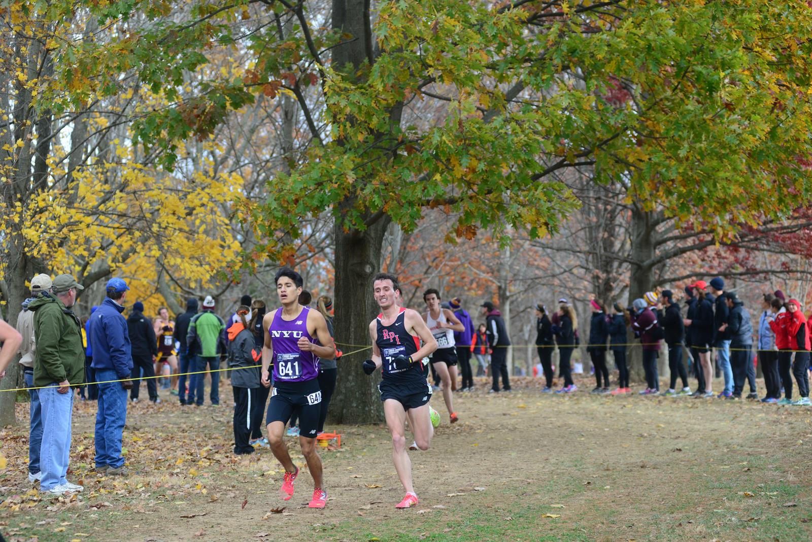 Jorge Maldonado - 2016 - Men's Cross Country - NYU Athletics