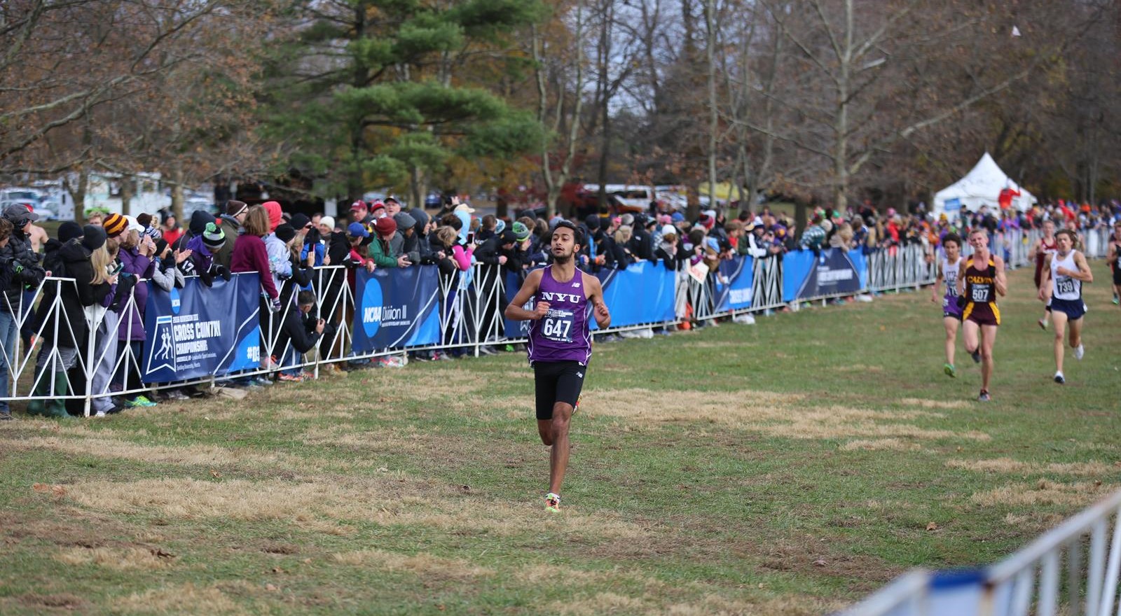 Karn Setya - 2017 - Men's Cross Country - NYU Athletics
