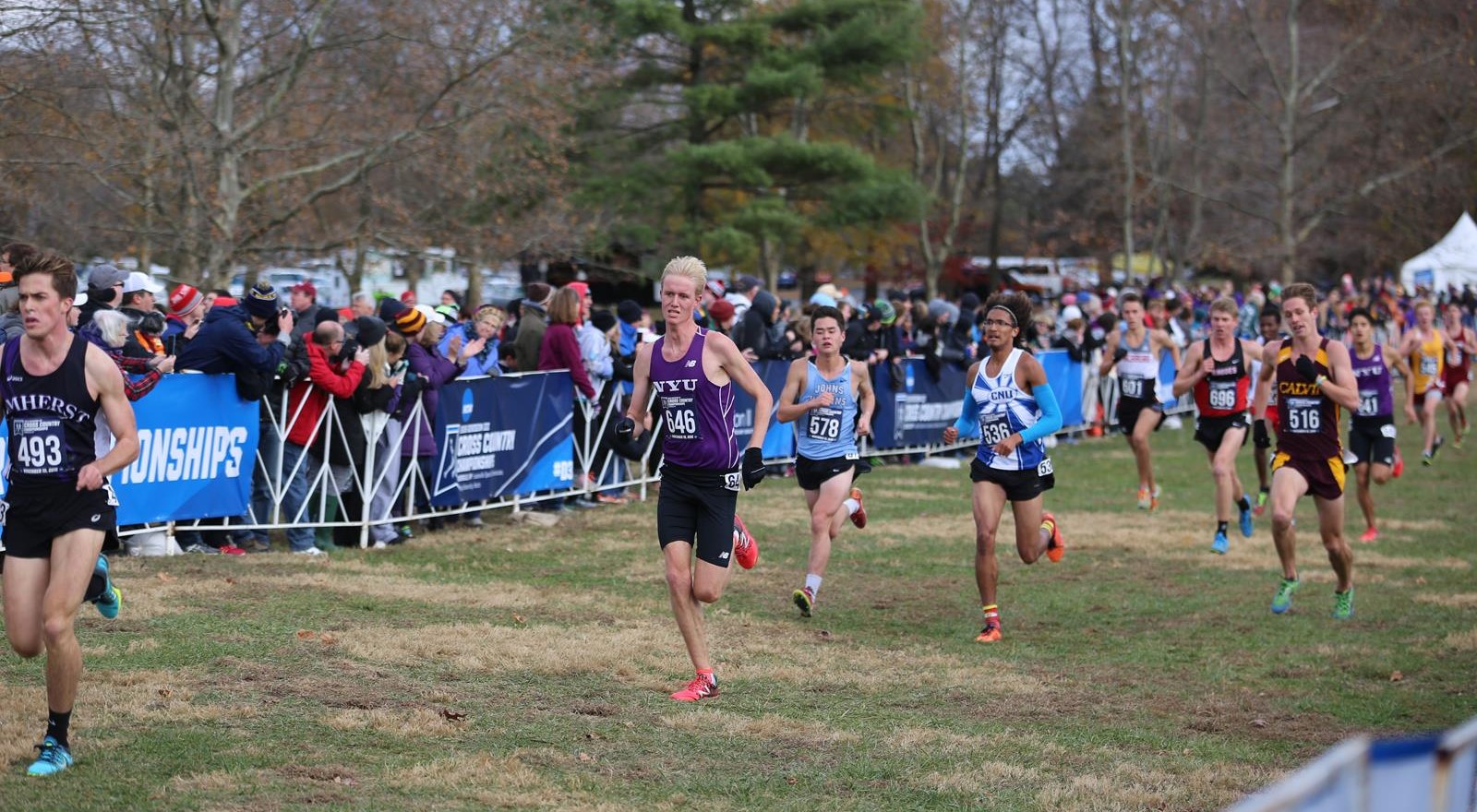 Neil Saddler - 2017 - Men's Cross Country - NYU Athletics