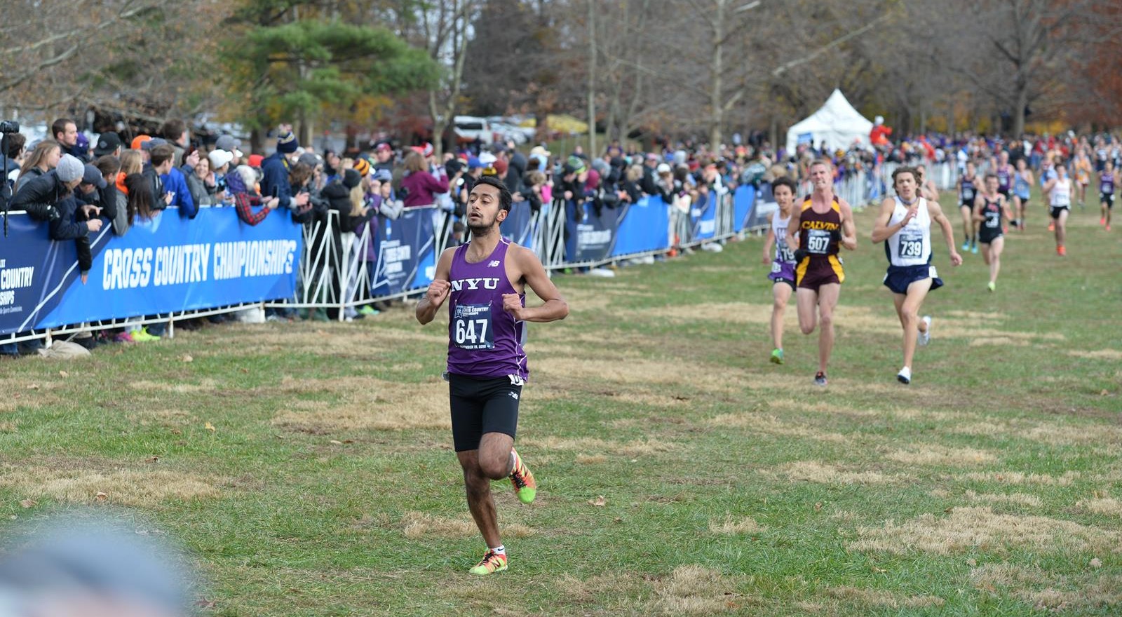 Karn Setya - 2017 - Men's Cross Country - NYU Athletics