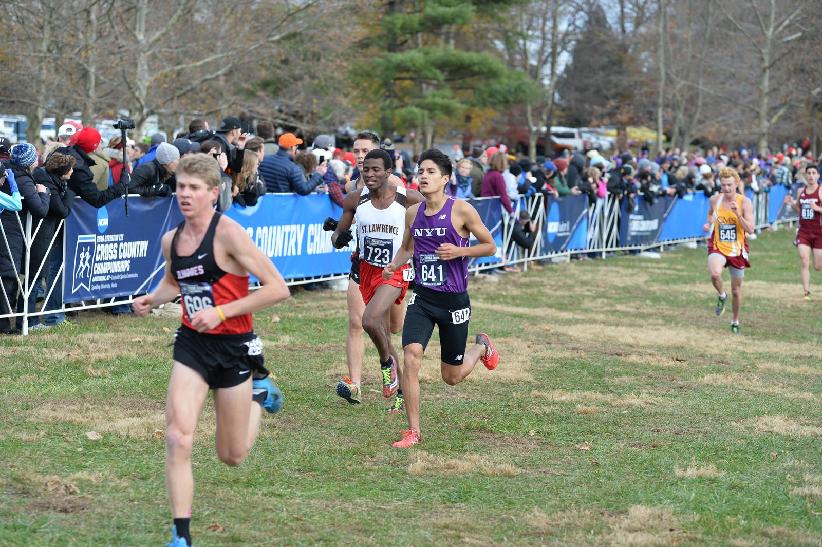 Jorge Maldonado - 2016 - Men's Cross Country - NYU Athletics