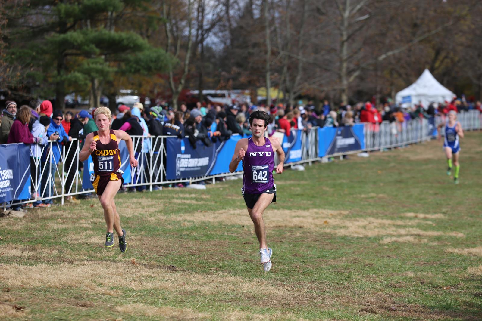 Max Mudd - 2017 - Men's Cross Country - NYU Athletics