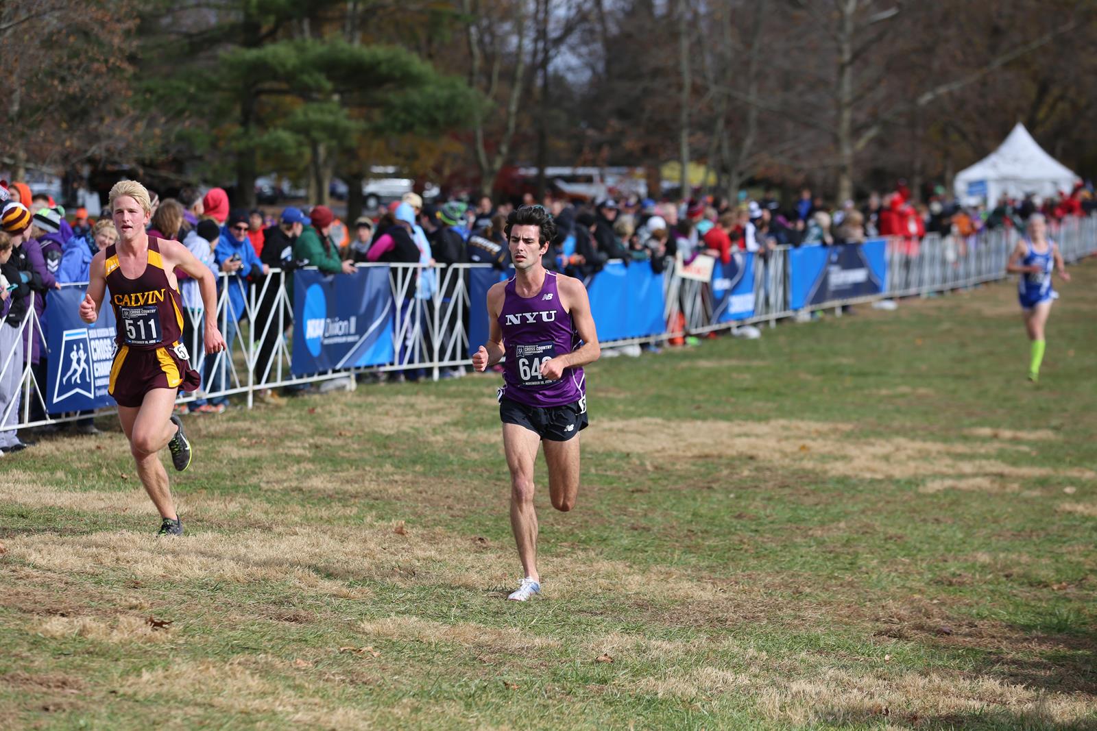 Max Mudd - 2017 - Men's Cross Country - NYU Athletics