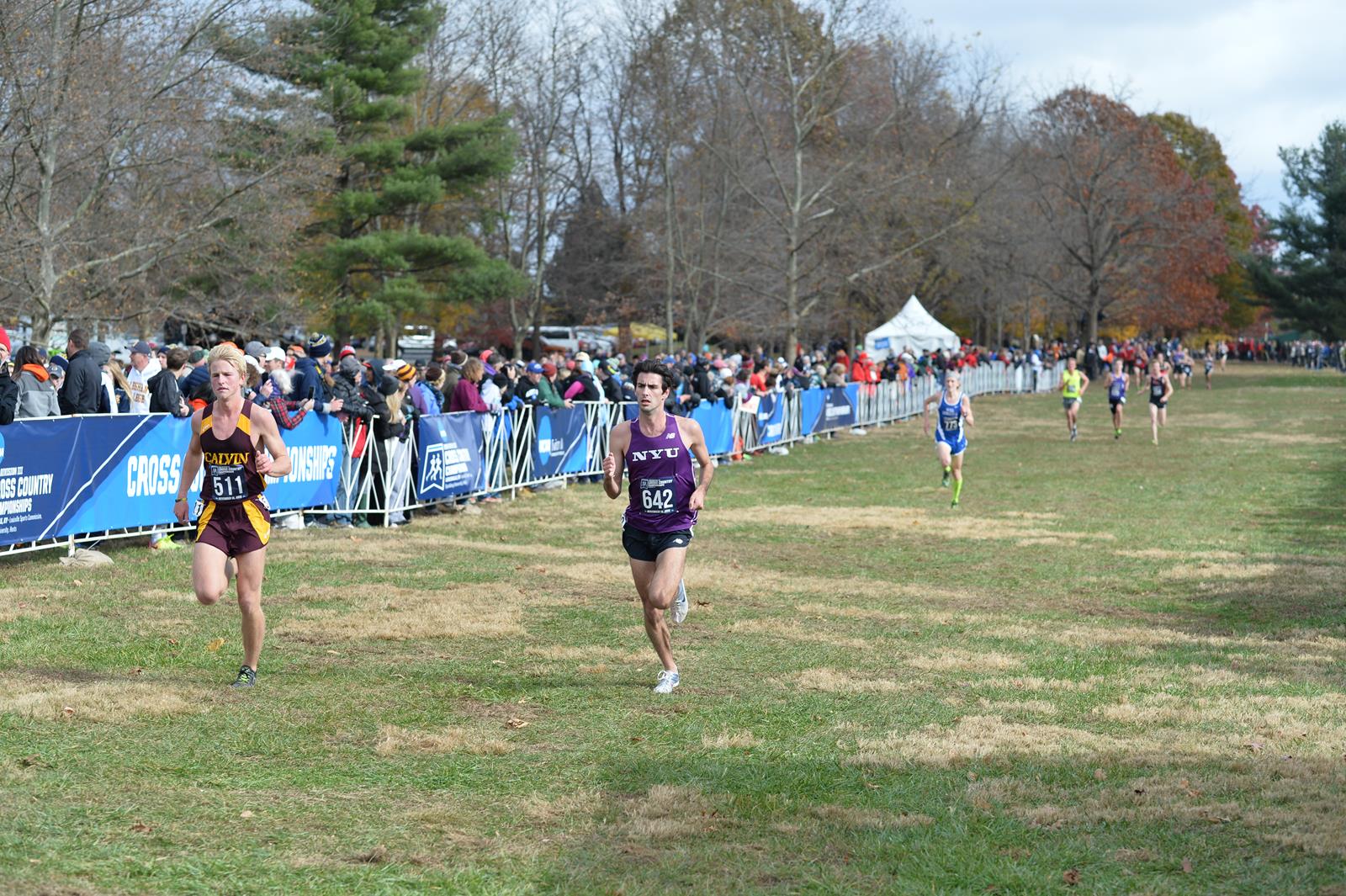 Max Mudd - 2017 - Men's Cross Country - NYU Athletics