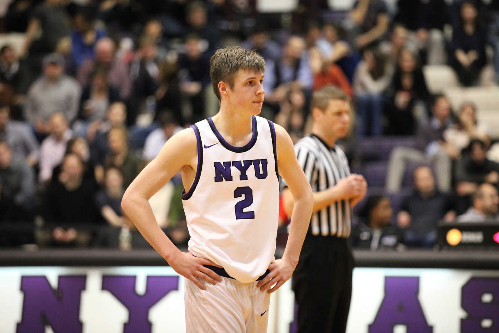 Jay Murphy - 2015-16 - Men's Basketball - NYU Athletics