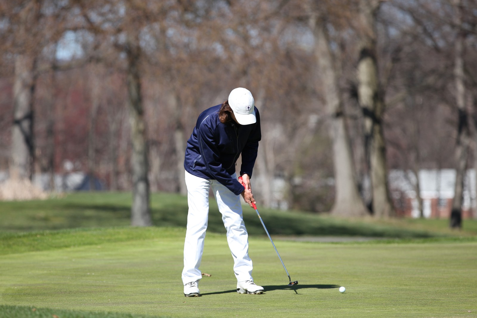 Eric Tarakjian - 2016-17 - Men's Golf - NYU Athletics