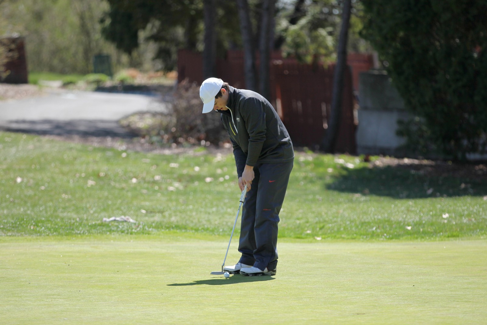 Matthew Love - 2016-17 - Men's Golf - NYU Athletics