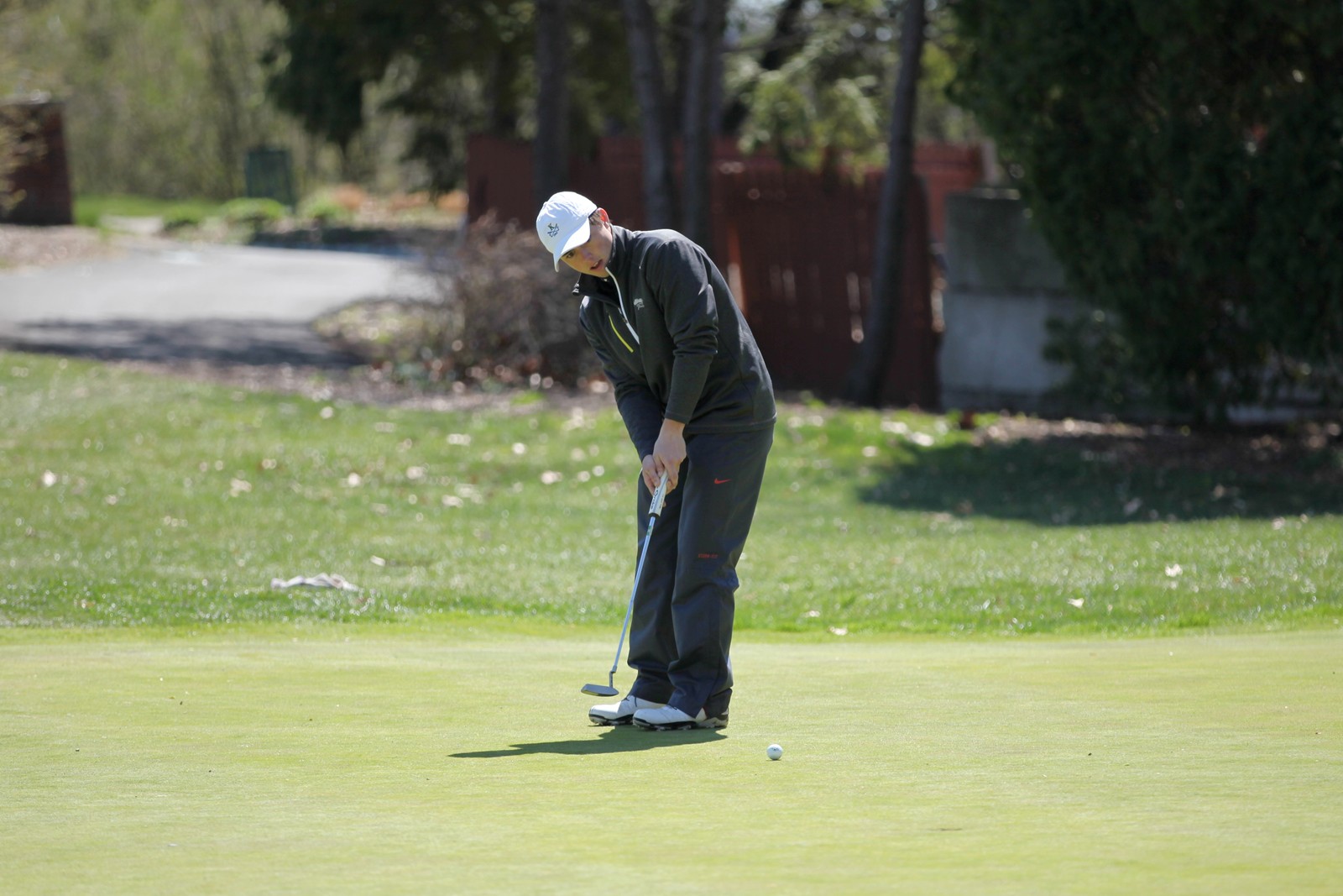 Matthew Love - 2016-17 - Men's Golf - NYU Athletics
