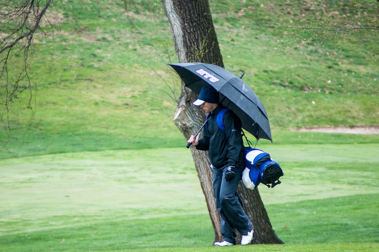 Matthew Love - 2016-17 - Men's Golf - NYU Athletics