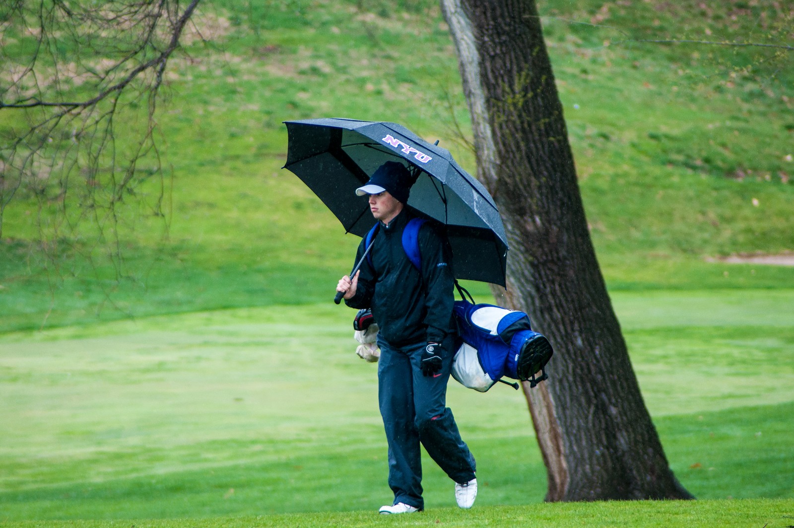 Matthew Love - 2016-17 - Men's Golf - NYU Athletics