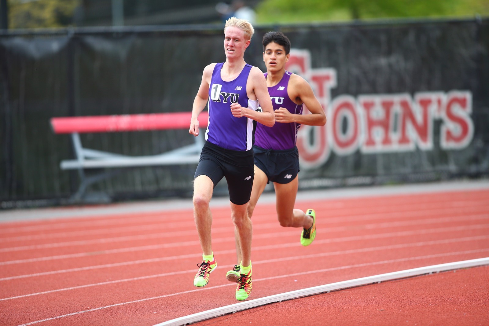 Jorge Maldonado - 2017 - Men's Track & Field - NYU Athletics