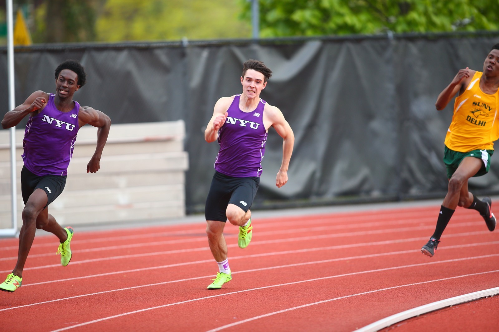 Budd Brown - 2017 - Men's Track & Field - NYU Athletics