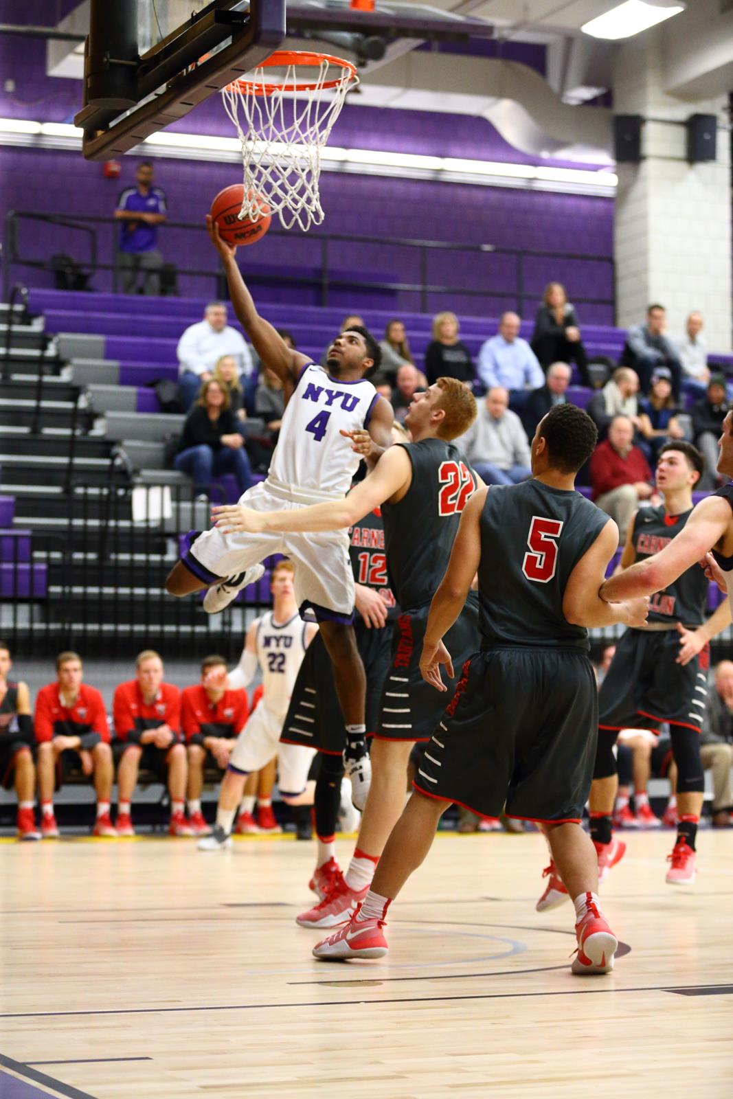 Jordan Harris - 2016-17 - Men's Basketball - NYU Athletics