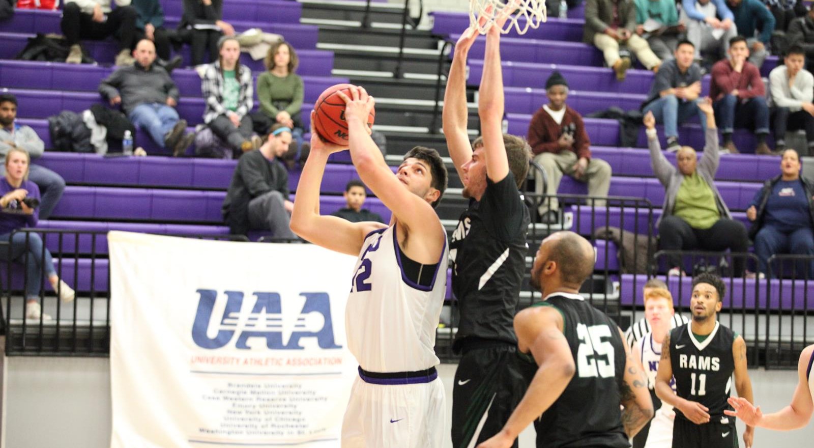 Nick Medavoy - 2016-17 - Men's Basketball - NYU Athletics