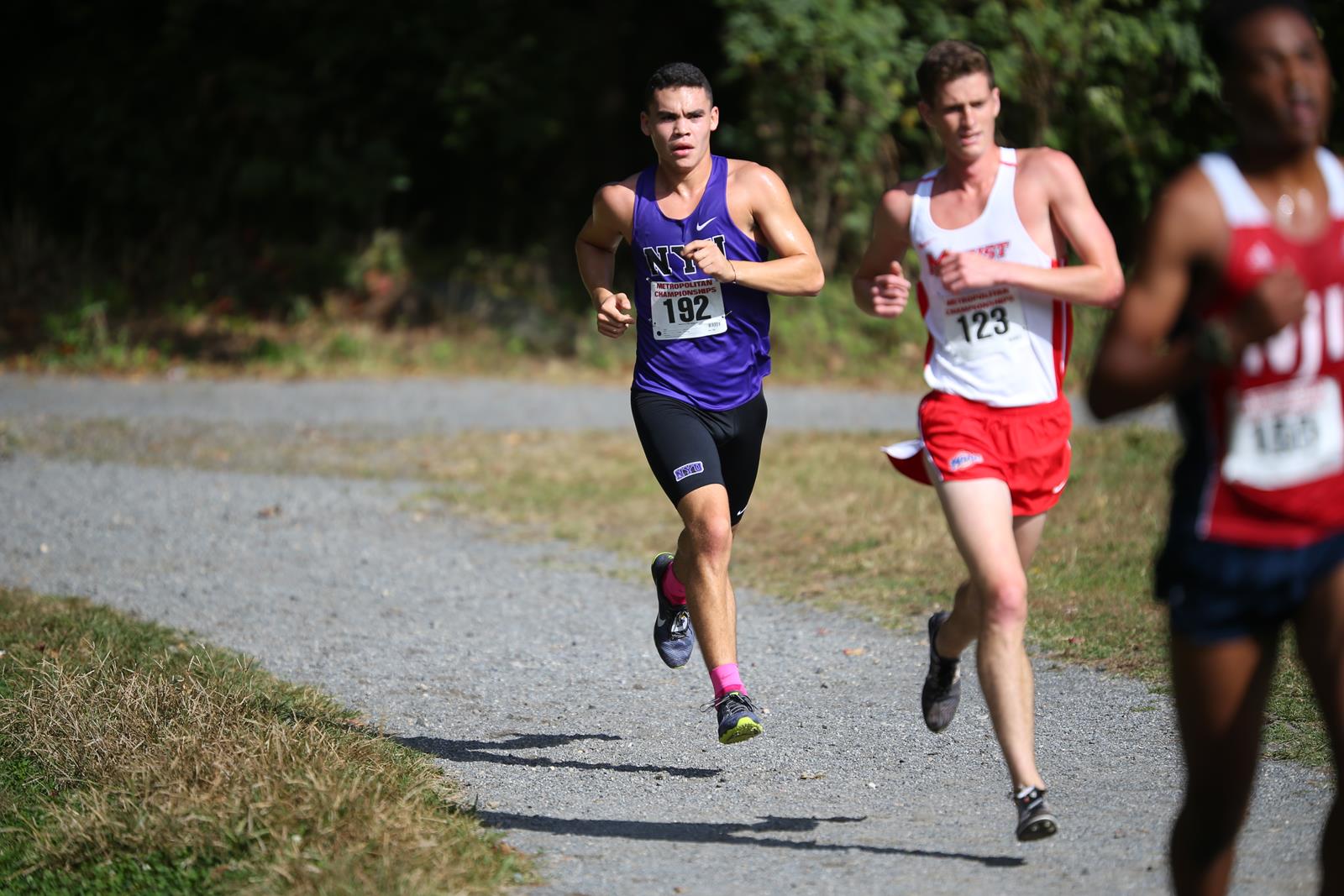 Alejandro Gonzalez - 2019 - Men's Cross Country - NYU Athletics