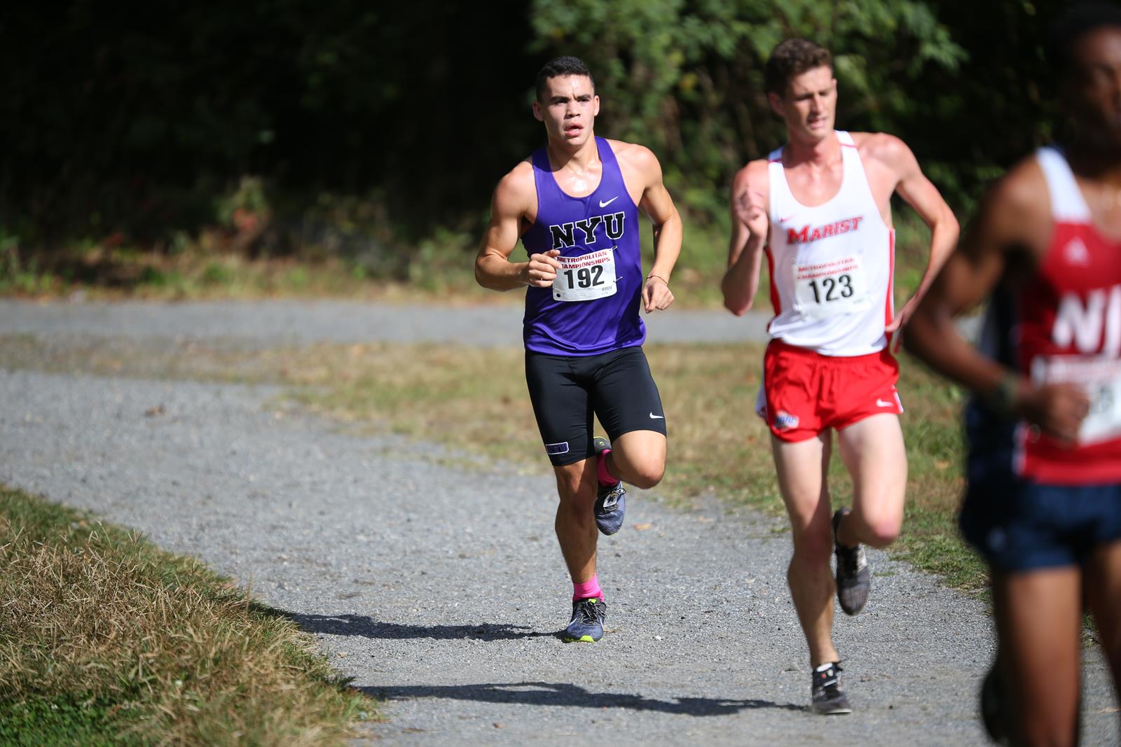 Alejandro Gonzalez - 2019 - Men's Cross Country - NYU Athletics