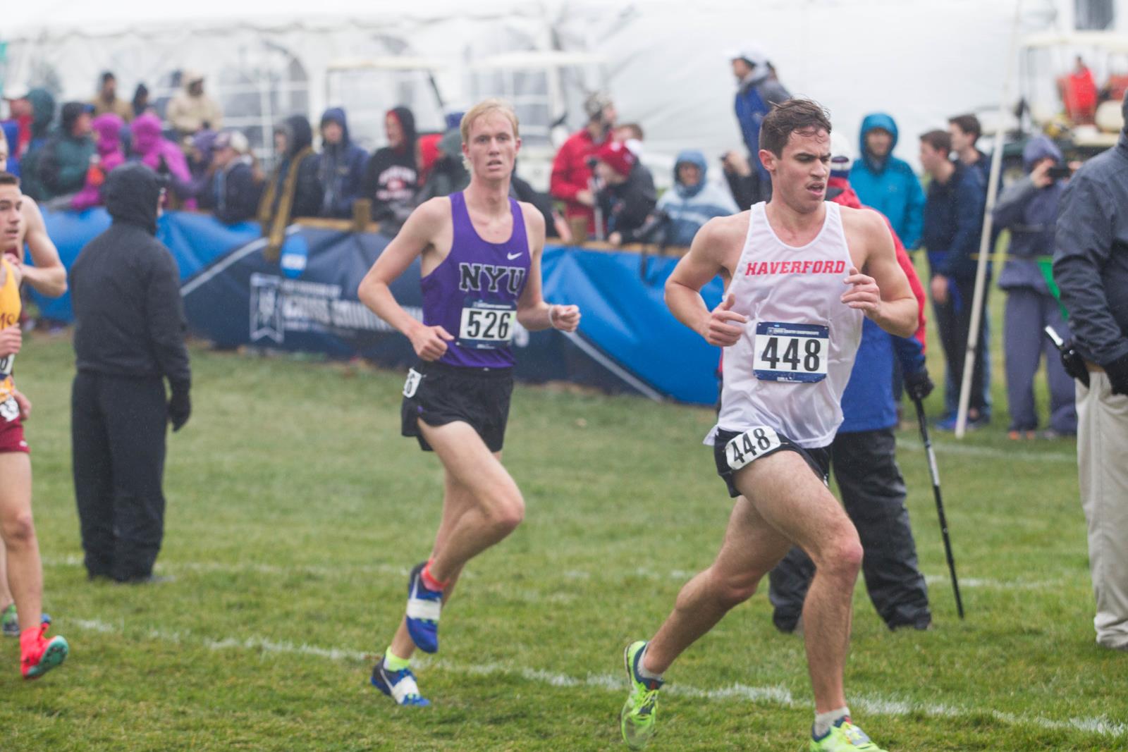Neil Saddler - 2017 - Men's Cross Country - NYU Athletics