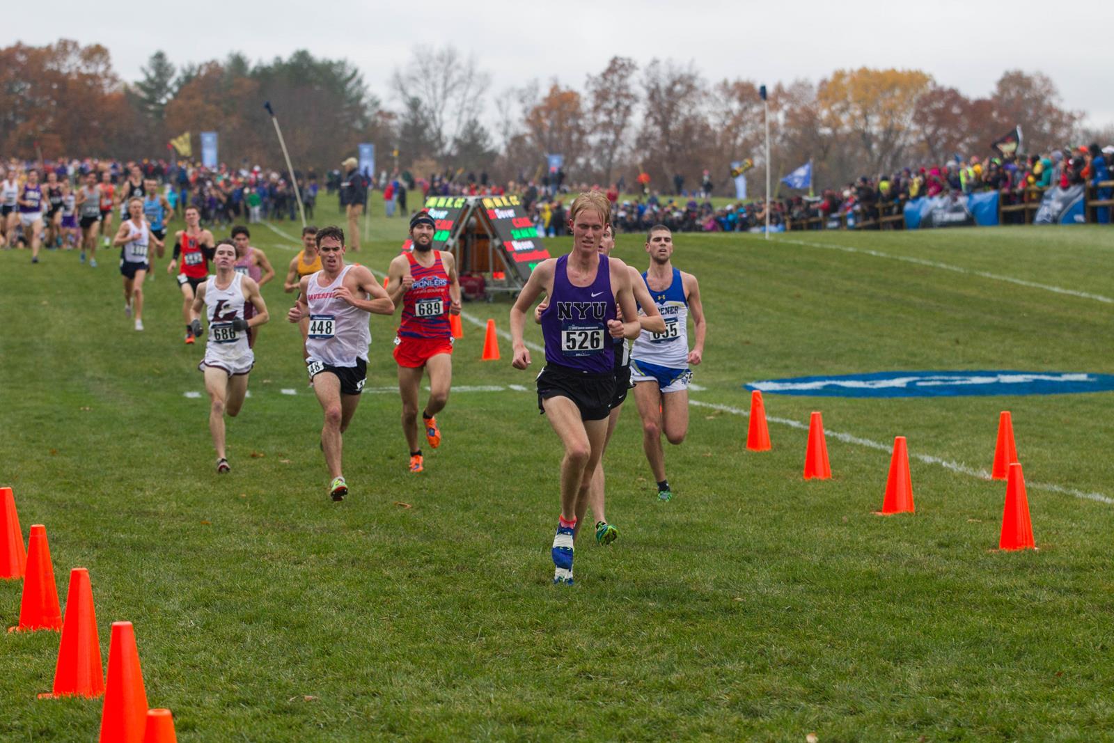 Neil Saddler - 2017 - Men's Cross Country - NYU Athletics