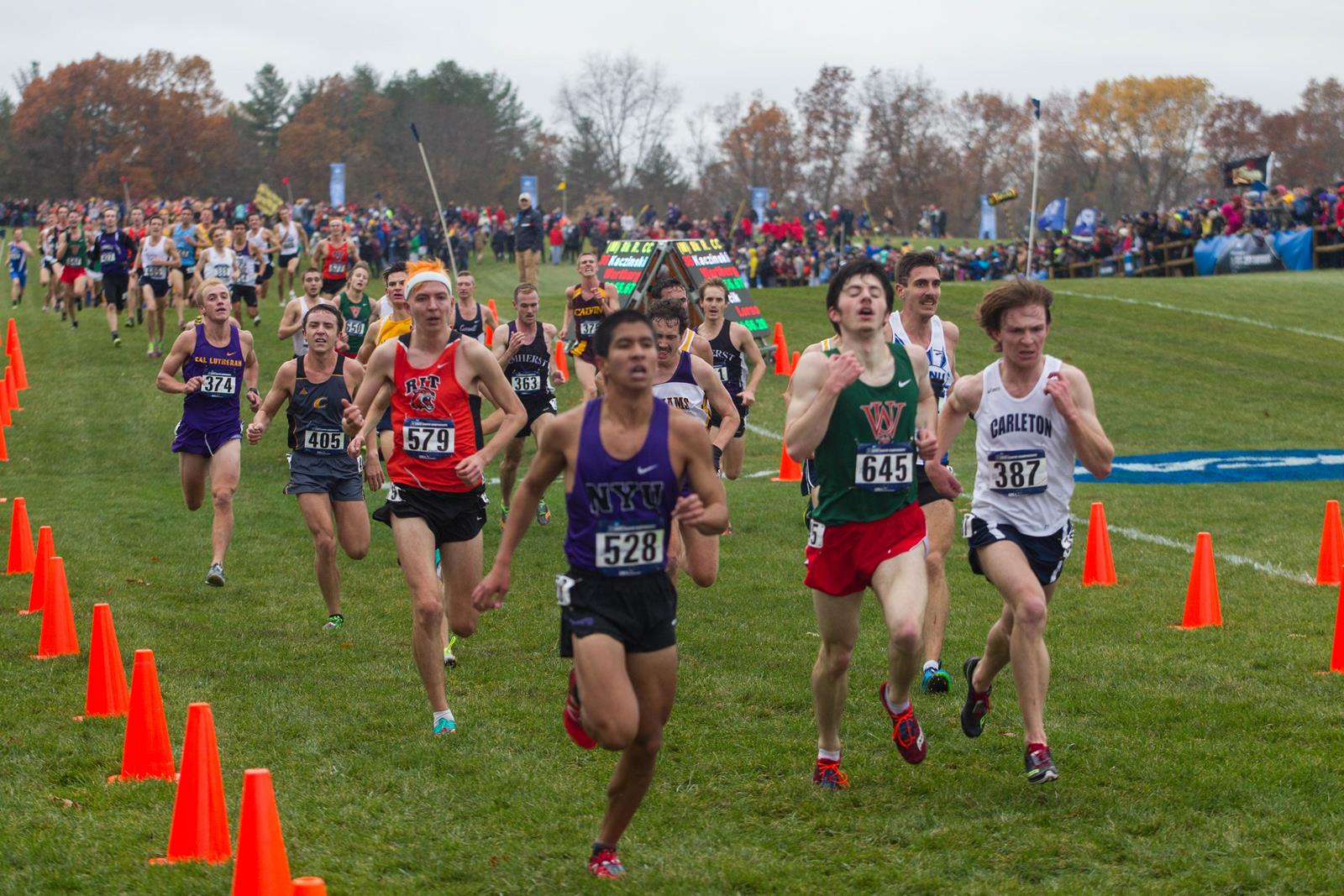 Brandon Shirazi - 2017 - Men's Cross Country - NYU Athletics