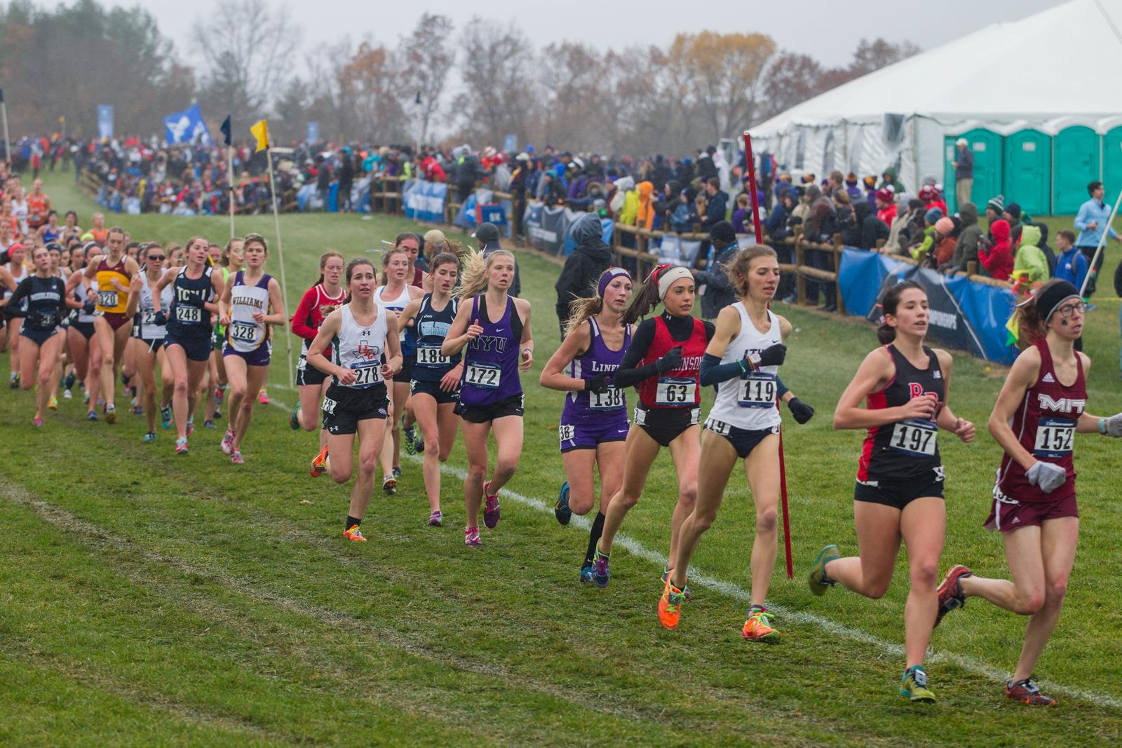 Sabrina Herrmann - 2018 - Women's Cross Country - NYU Athletics