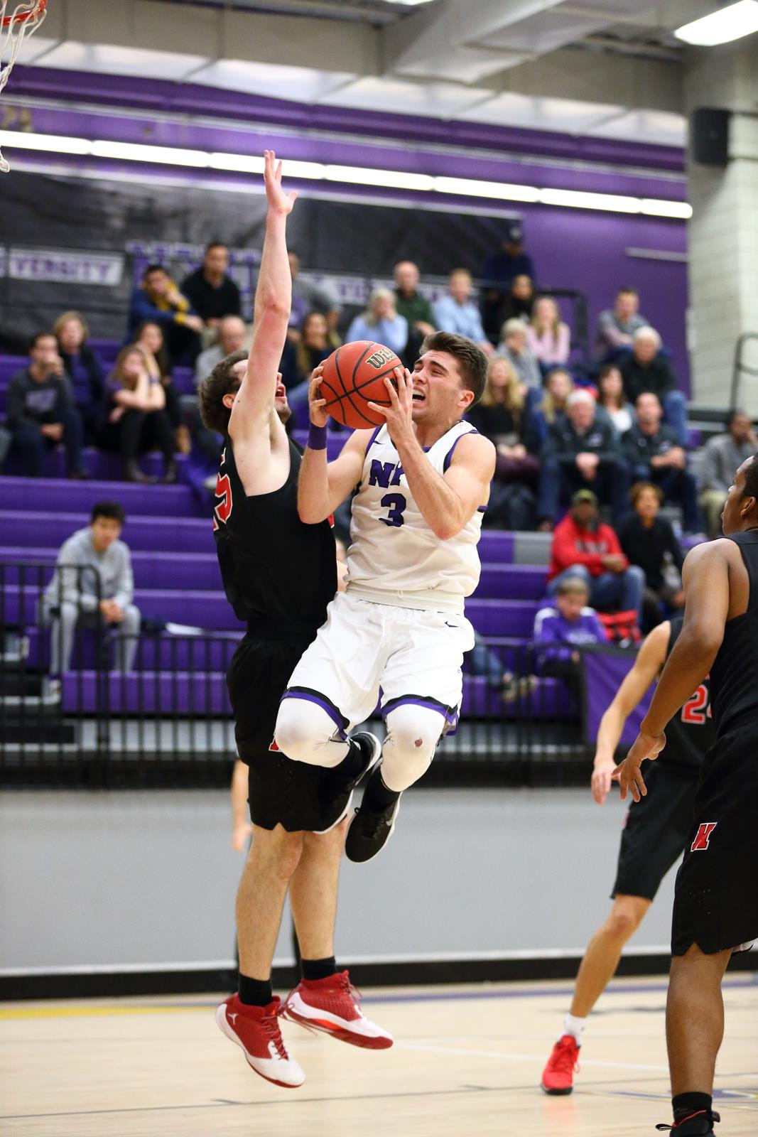 Douglas Gertner - 2015-16 - Men's Basketball - NYU Athletics