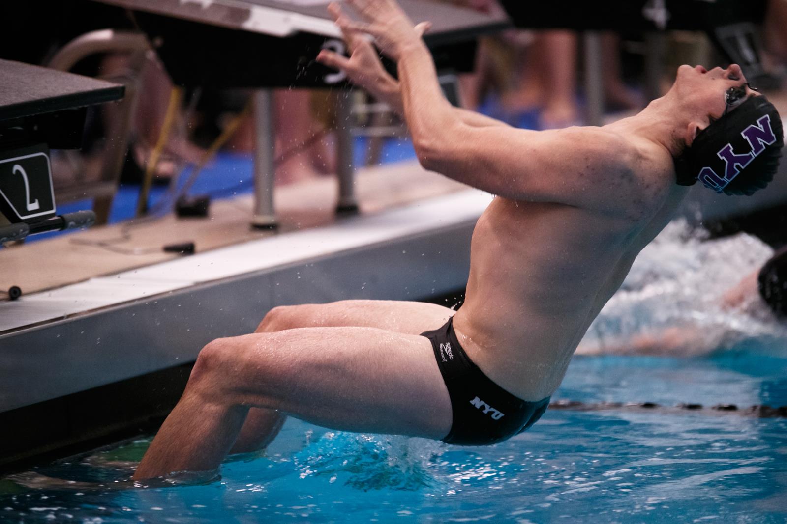 Michael Macchia - 2019-20 - Men's Swimming & Diving - NYU Athletics