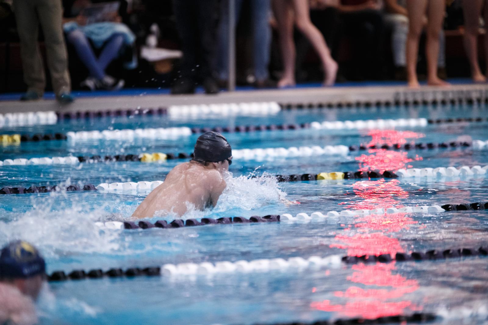 Tim Kou - 2017-18 - Men's Swimming & Diving - NYU Athletics