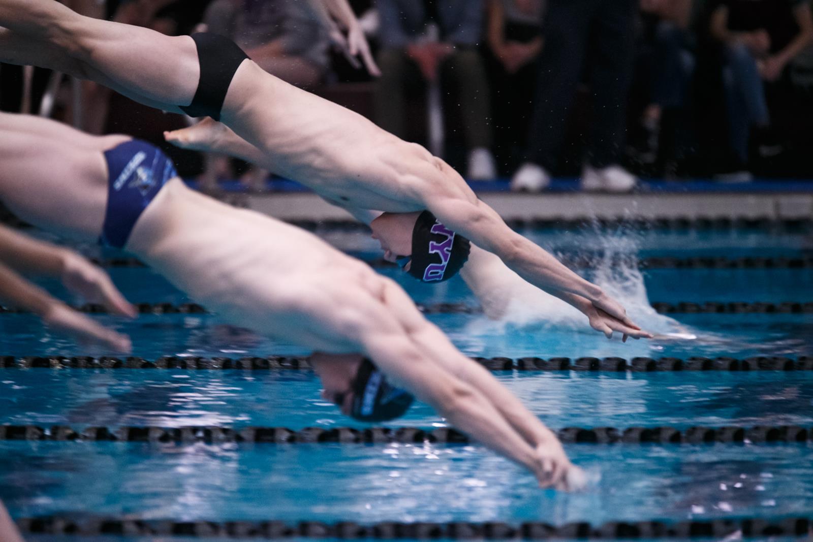 Nianzhong Liu - 2018-19 - Men's Swimming & Diving - NYU Athletics