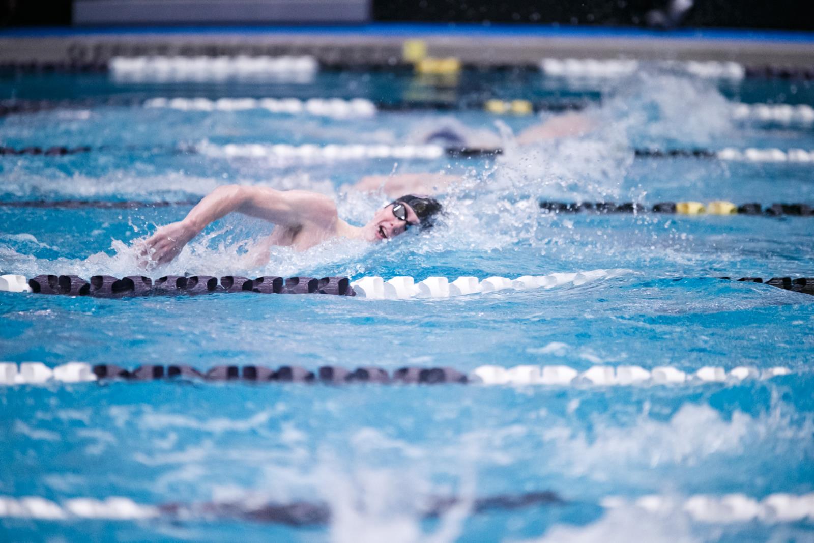 Peyton Lucas - 2019-20 - Men's Swimming & Diving - NYU Athletics