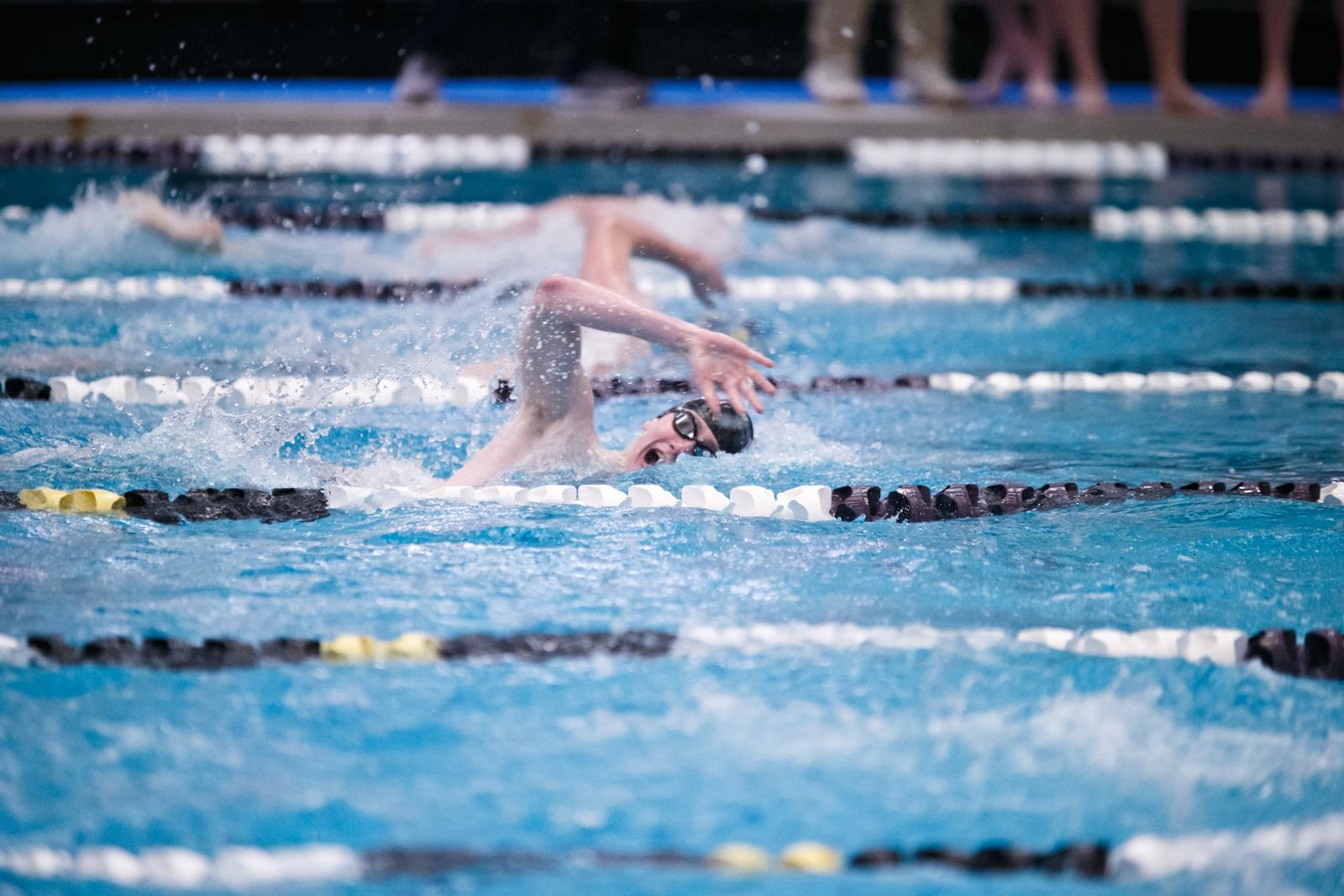 Peyton Lucas - 2019-20 - Men's Swimming & Diving - NYU Athletics