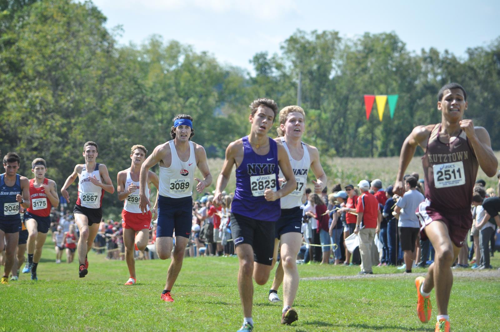 Jonathan Sussman - 2019 - Men's Cross Country - NYU Athletics