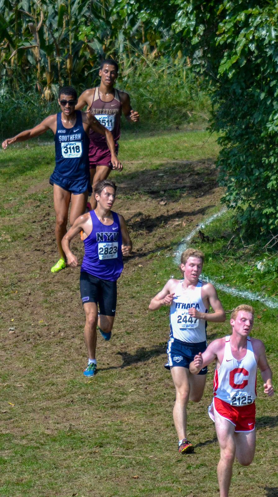 Jonathan Sussman - 2019 - Men's Cross Country - NYU Athletics